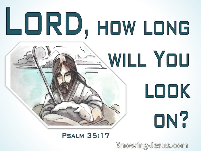 What Does Psalm 35 17 Mean What Does Psalm 35 17 Mean